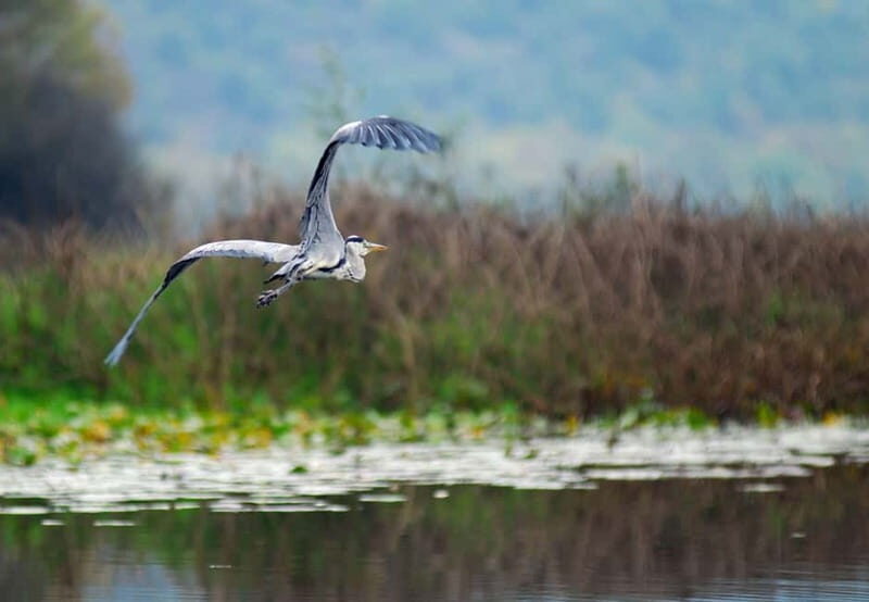 Skadar lake cruise - Virpazar - Kom monastery - Virpazar - FAQ