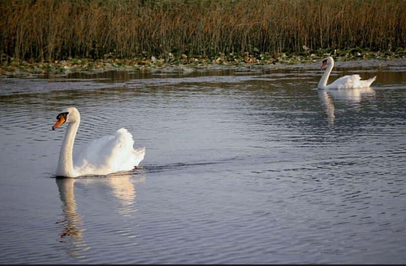 Skadar lake cruise with lunch - What the Tour Includes and What Not