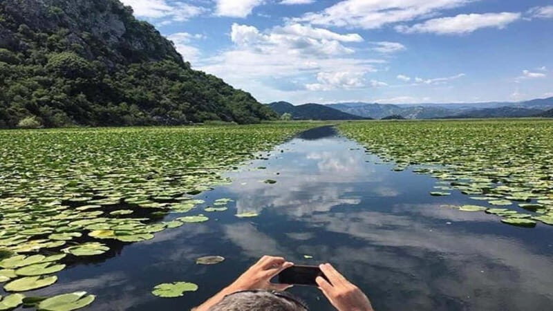 Skadar Lake: Discover the Extraordinary with Our Boat Tours - Key Points