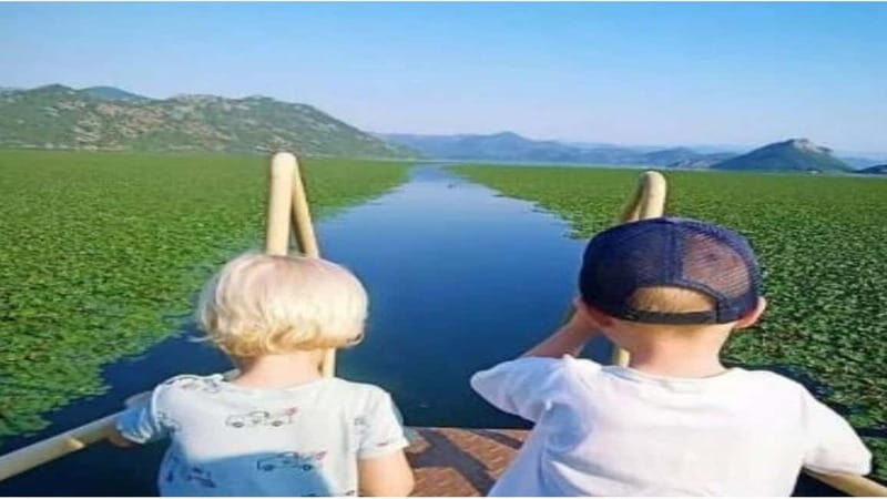 Skadar Lake: Discover the Extraordinary with Our Boat Tours - The Experience: Why It Works