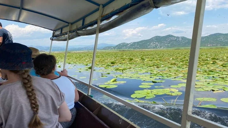 Skadar Lake: Discover the Extraordinary with Our Boat Tours - The Vibe and Authenticity