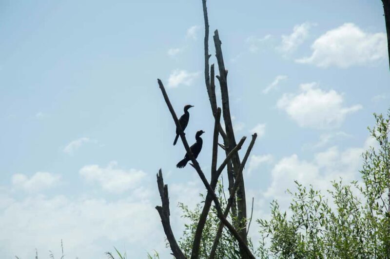 Skadar Lake: Historic & Nature sightseeing with small group - Price and Value
