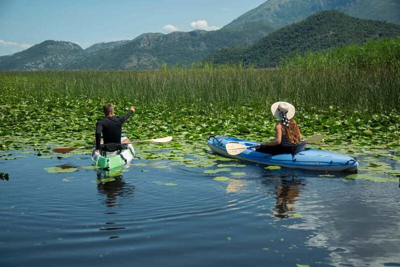 Skadar Lake: Individual Kayaking Experience - Setting Out From Virpazar: What To Expect
