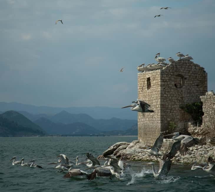 Skadar Lake: Individual Kayaking Experience - Practicalities and Value