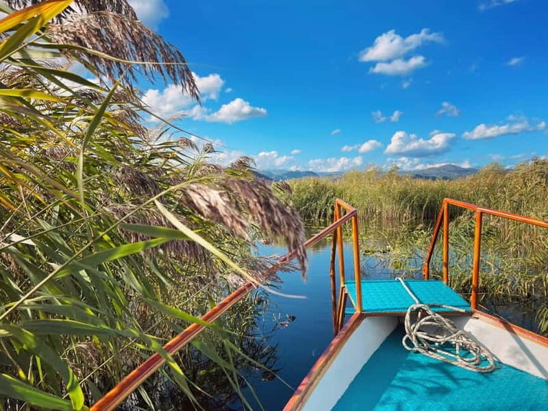 Skadar Lake Nature Cruise with Free Drinks - The Experience of the Tour