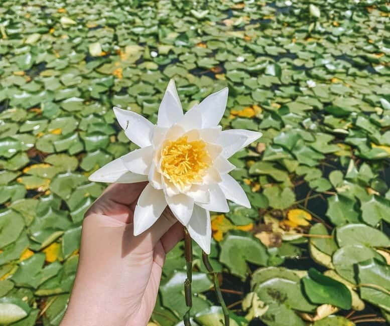 Skadar Lake Nature Cruise with Free Drinks - Practicalities