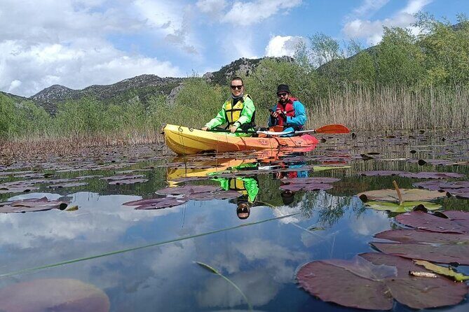 Skadar Lake on kayaks Experience with Spectacular Views - What Travelers Are Saying