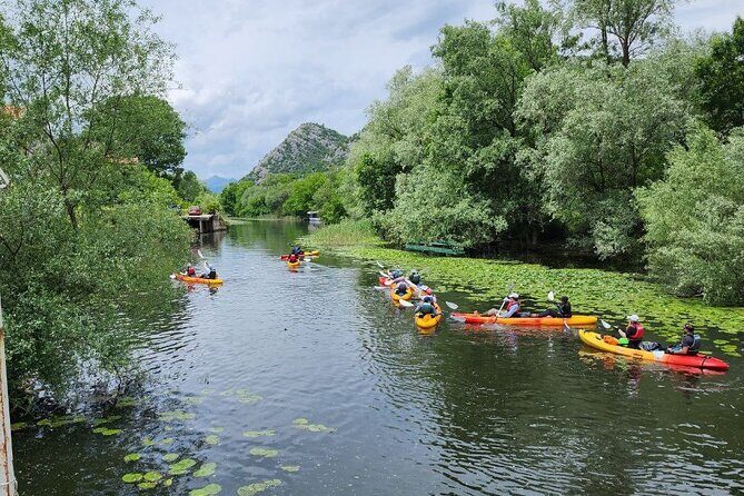 Skadar Lake on kayaks Experience with Spectacular Views - Final Thoughts: Is It Worth It?
