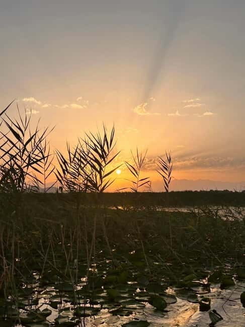 Skadar Lake Private Boat Tour with Wine Tasting - The Sum Up