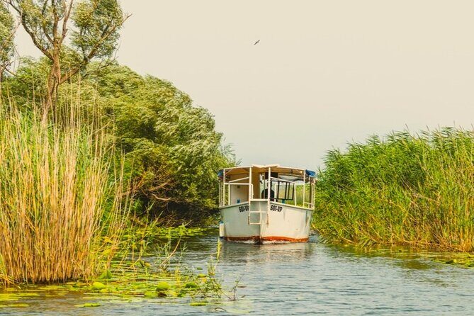 Skadar Lake Short Guided Tour: Discover the Montenegrin Alcatraz - What You’ll Love About the Tour
