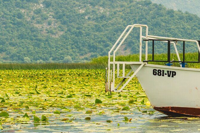 Skadar Lake Short Guided Tour: Discover the Montenegrin Alcatraz - Pricing and Value