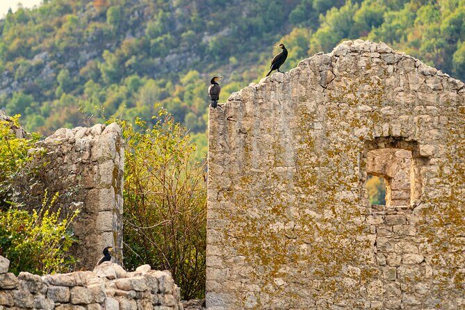Skadar Lake Short Guided Tour: Discover the Montenegrin Alcatraz - Who Should Book This Tour?