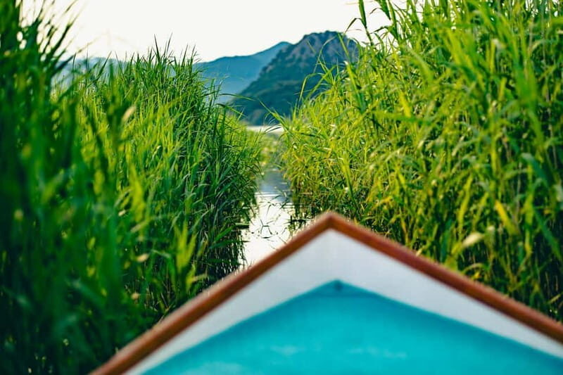 Skadar Lake Virpazar : Speed Boat Special ! - Key Points