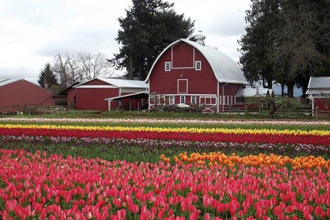Skagit Valley Tulip Festival Day Tour from Seattle - The Bottom Line: Is This Tour Right for You?