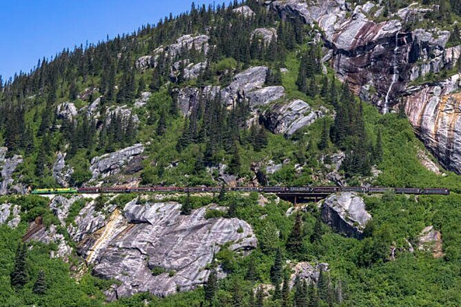 Skagway City Tour and White Pass Summit Adventure - The Transport & Group Dynamics