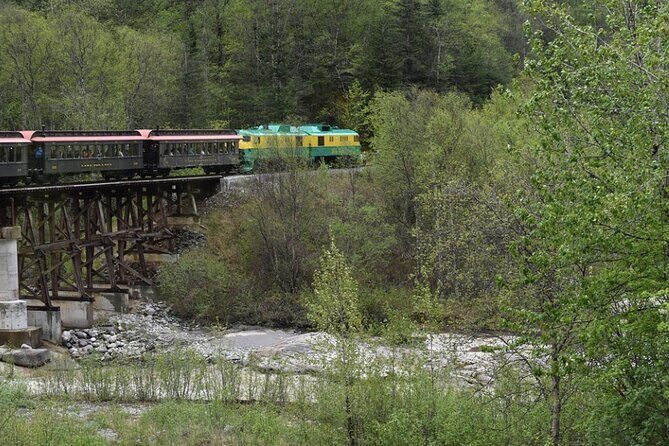 Skagway City Tour and White Pass Summit Adventure - The Highlights