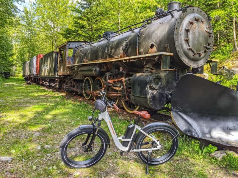 Skagway: E-Bike Rental - An Authentic Way to Experience Skagway’s Historic and Natural Gems