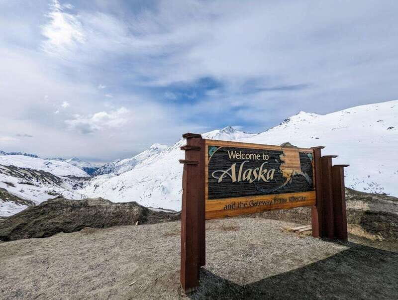 Skagway: Klondike Highway & Yukon Bus Tour with Husky Kennel - Authentic Experiences and Traveler Feedback