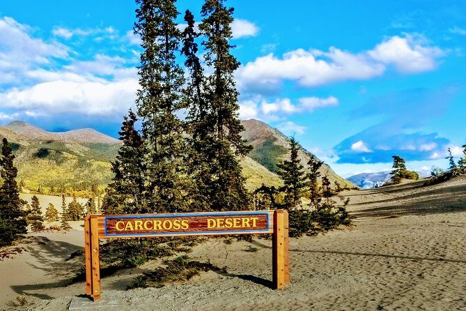 Skagway Shore Excursion: Full-Day Tour of the Yukon - Why This Tour Works for Travelers