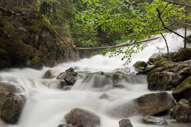 Skagway Waterfall Tour - What’s Included and Practical Details