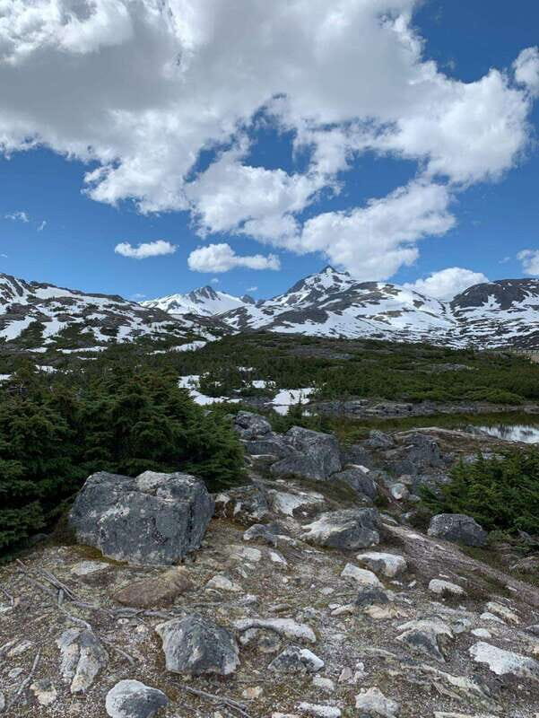 Skagway: Yukon Suspension Bridge & Summit Tour - What Makes This Tour Stand Out?