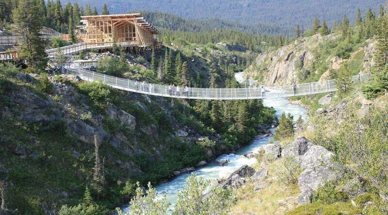 Skagway: Yukon Suspension Bridge & Summit Tour - The Itinerary and Highlights in Detail