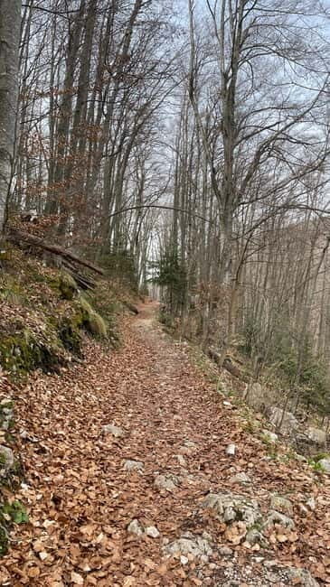 Skakavac Waterfall Hike: Explore Nature Near Sarajevo - An Authentic Nature Escape Near Sarajevo