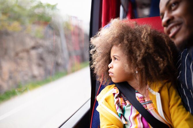 Skavsta Airport Bus Transfer - Who Should Choose This Transfer?