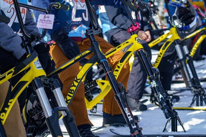 Ski Bike Rental in South Lake Tahoe - Final Thoughts