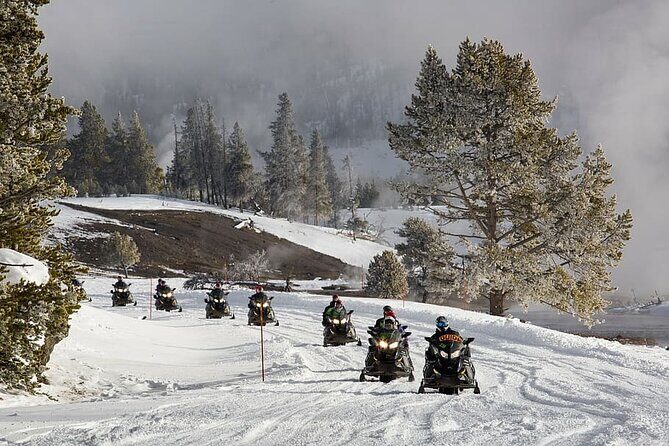 Ski-doo Snow Safari in Borovets - Final Thoughts