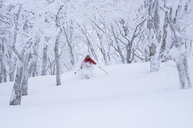 Ski or Snowboard Lesson in Shiga Kogen (4Hours) - Value for Money: Breaking Down the Cost