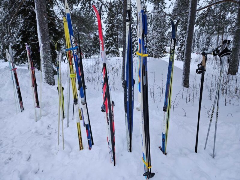 Ski or Snowshoe rental in Sea Lapland - Key Points
