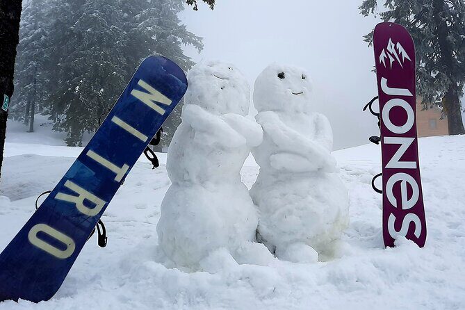 Ski & snowboard lessons on Poiana Brasov- Full Private day tour from Brasov - Who This Tour Is Best For