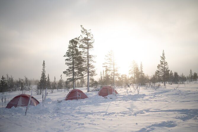Ski Touring and Winter Fun in Fulufjallet Mountain Plateau - Authentic Experiences and Highlights