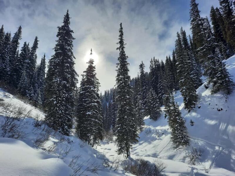 Ski touring in Kyrgyzstan at Jyrgalan Valley - Who Should Consider This Tour?