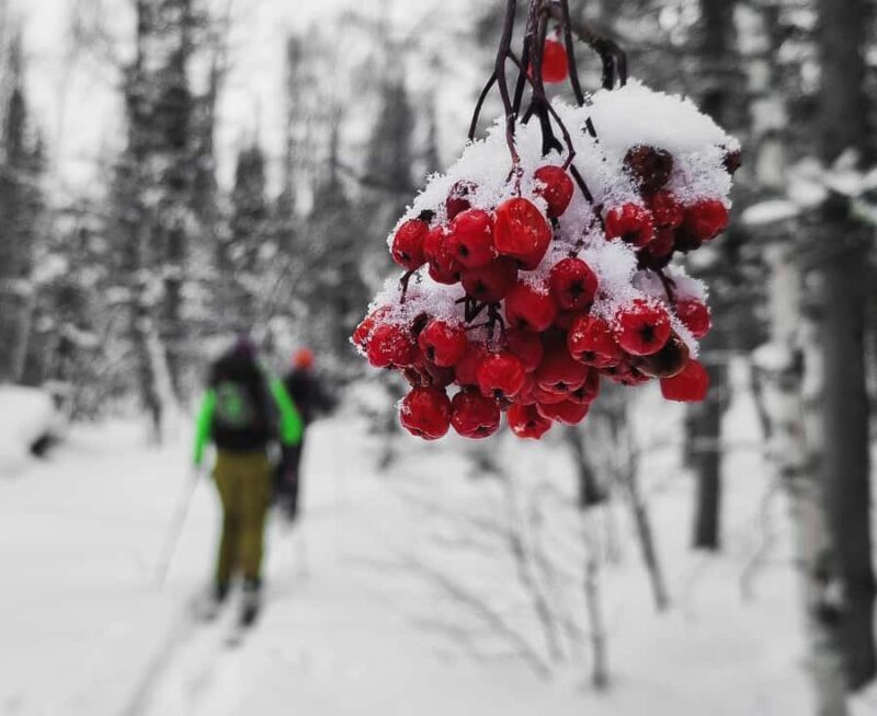 Ski touring in Western Altai - Final Thoughts