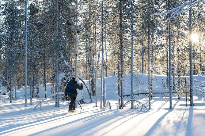 Ski Trek to the Wilderness - Extra Small group - What Makes This Tour Stand Out