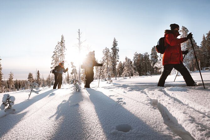 Ski Trekking Safari in Lapland - The Experience from Real Travelers