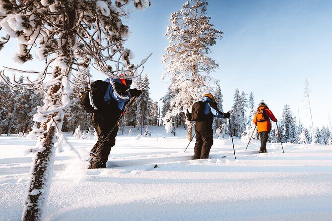 Ski Trekking Safari in Lapland - Why This Tour Is Worth Considering