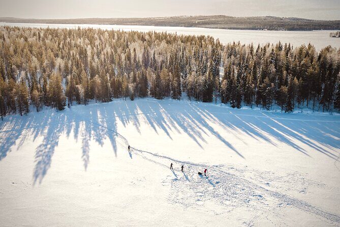 Ski Trekking Safari in Lapland - The Sum Up