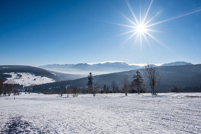 Ski Trip + Thermal Baths with Private Transfers from Krakow - The Transport and Logistics: Comfort and Convenience