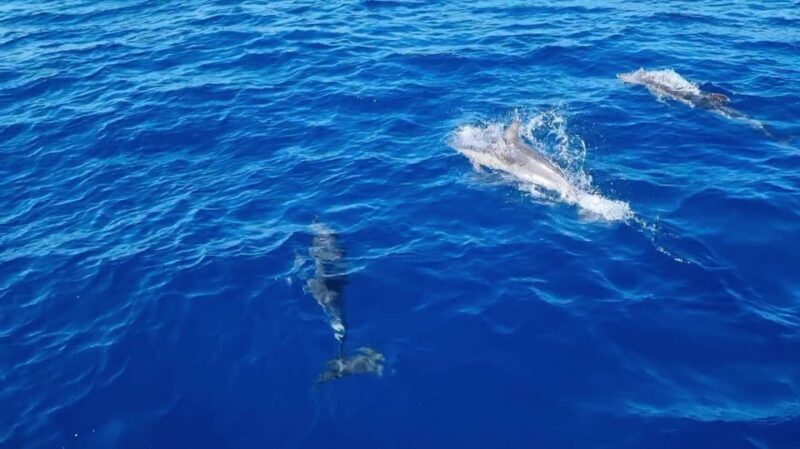 Skiathos private tours :Sailing day with lunch on board, - An In-Depth Look at the Sailing Experience