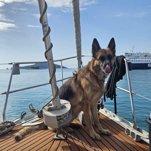 Skiathos private tours :Sailing day with lunch on board, - Frequently Asked Questions (FAQs)