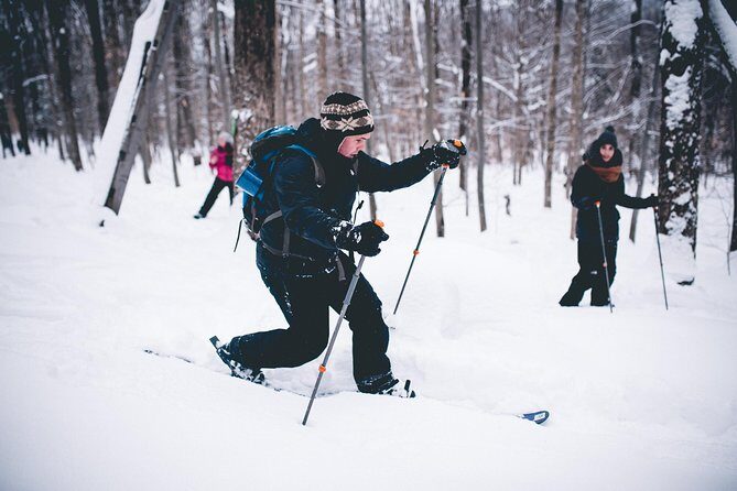 Skiing (Hok Ski) Excursion in Jacques-Cartier National Park - Weather and Cancellation Policies
