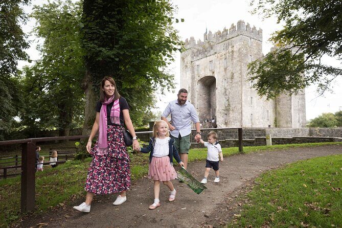 Skip the Line: Bunratty Castle and Folk Park Admission Ticket - Introduction: An Irish Time Capsule