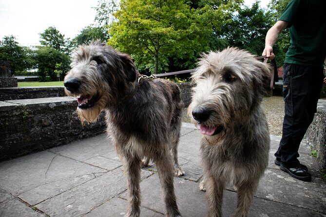 Skip the Line: Bunratty Castle and Folk Park Admission Ticket - FAQ