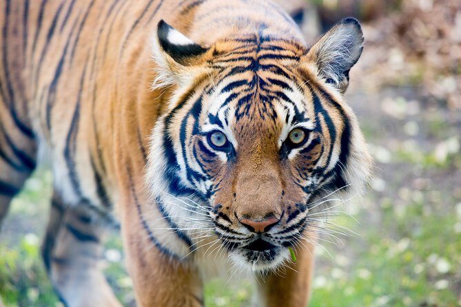 Skip the Line: Daily Admission at Woodland Park Zoo Ticket - Final Thoughts: Who Will Love This Experience?