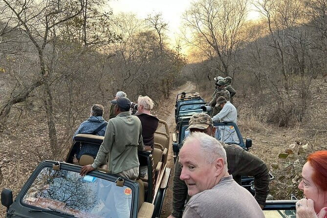Skip-the-Line Entry for Ranthambore Gypsy Safari - Who Will Love This Tour?