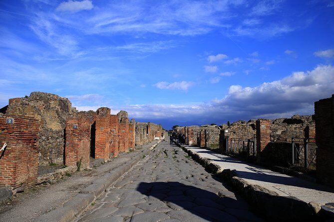 Skip-the-line Exclusive Private Full-Day Complete Ancient Pompeii Guided Tour - The Value of a Private Guide in Pompeii
