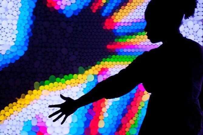 SKIP THE LINE: Exploratorium Daytime Admission - FAQ: Your Quick Guide to the Exploratorium